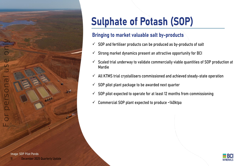 BCI Minerals Q4 2025 slides: Mardie Salt Project 77% complete, on track ...